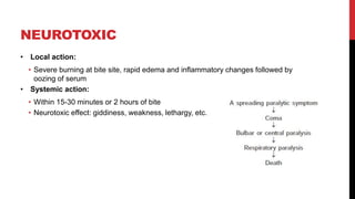 Details about snake bites their impact and remedies | PDF