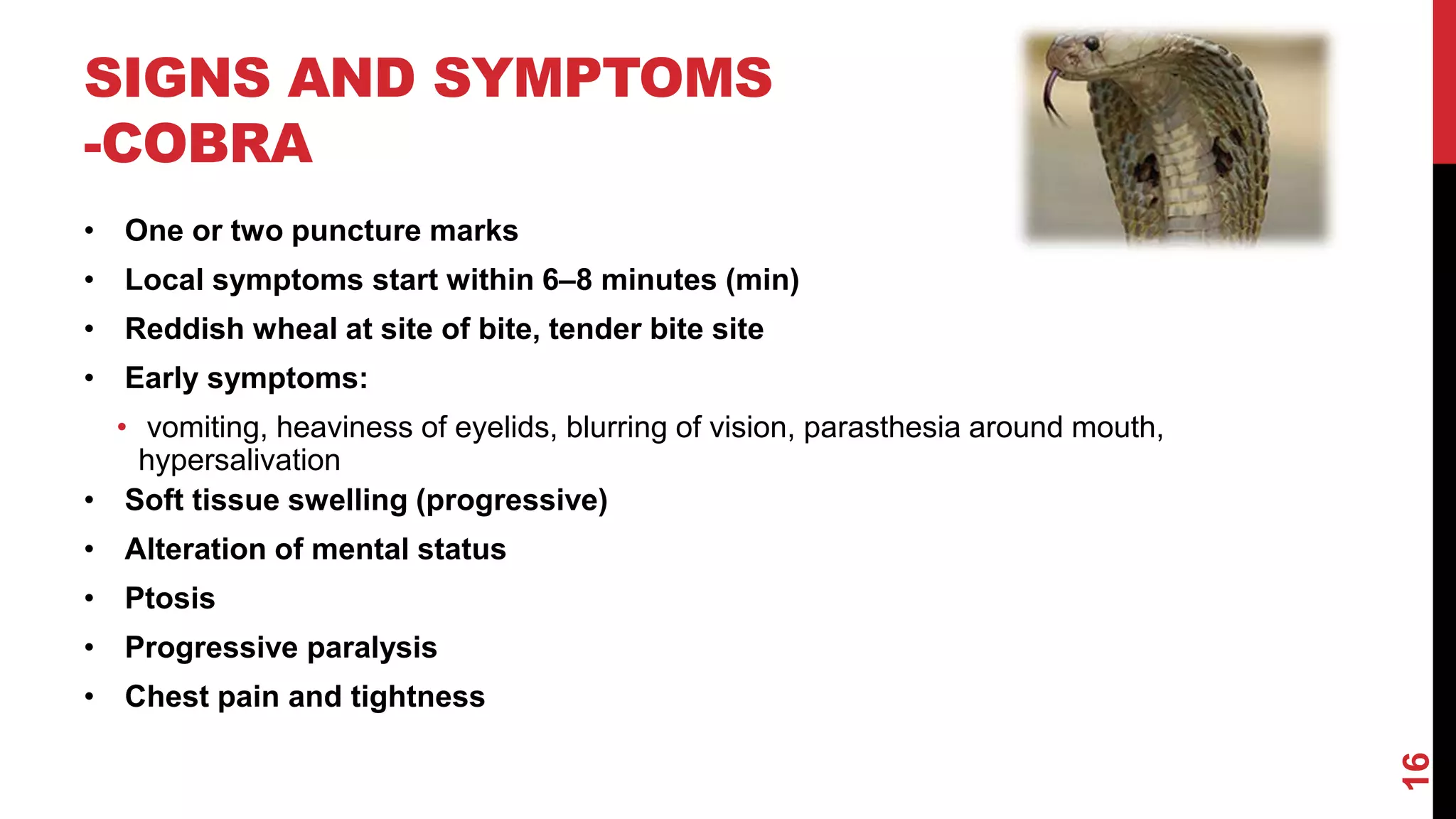 Snake & Snake bites | PPTX