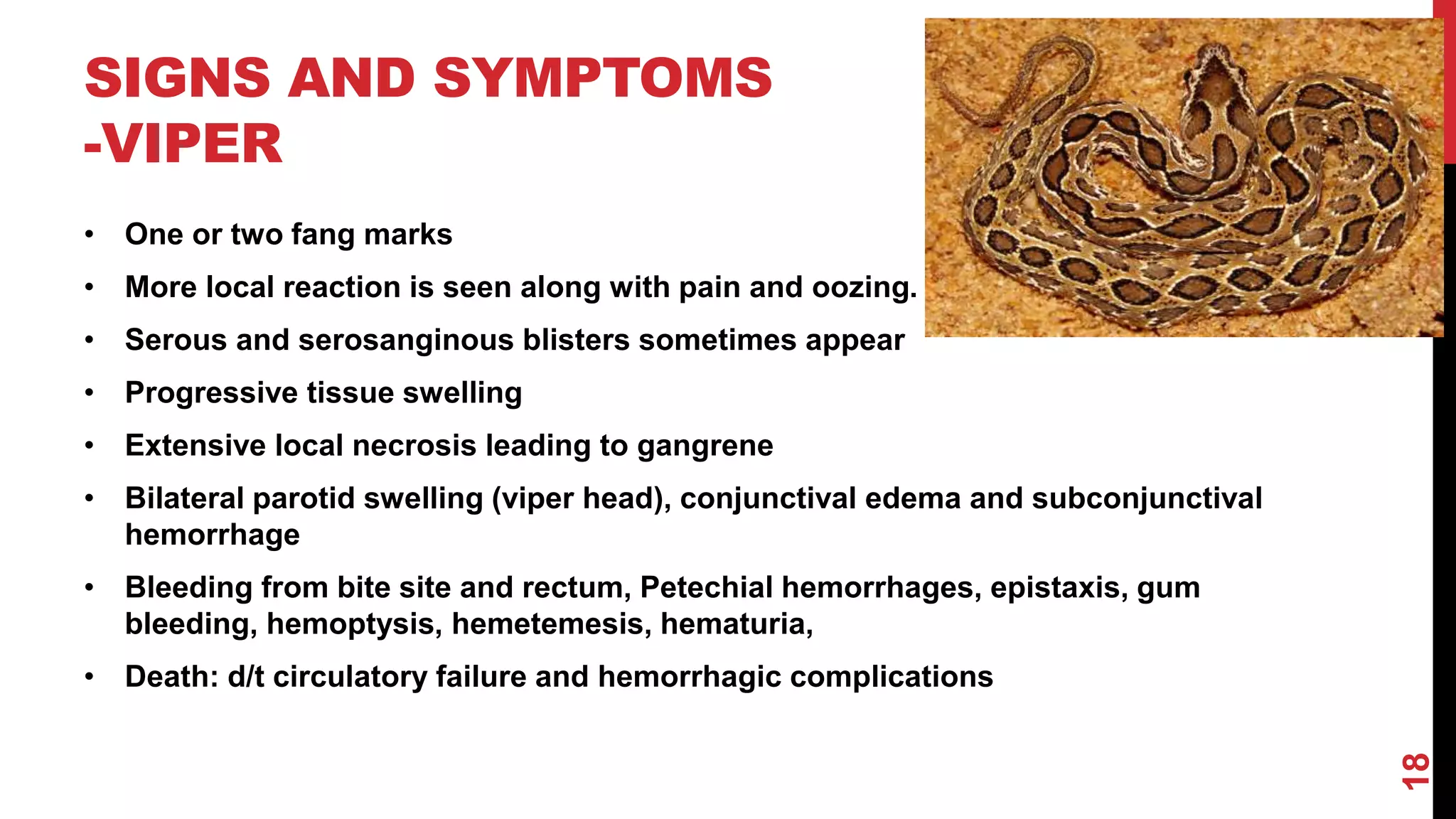 Snake & Snake bites | PPTX