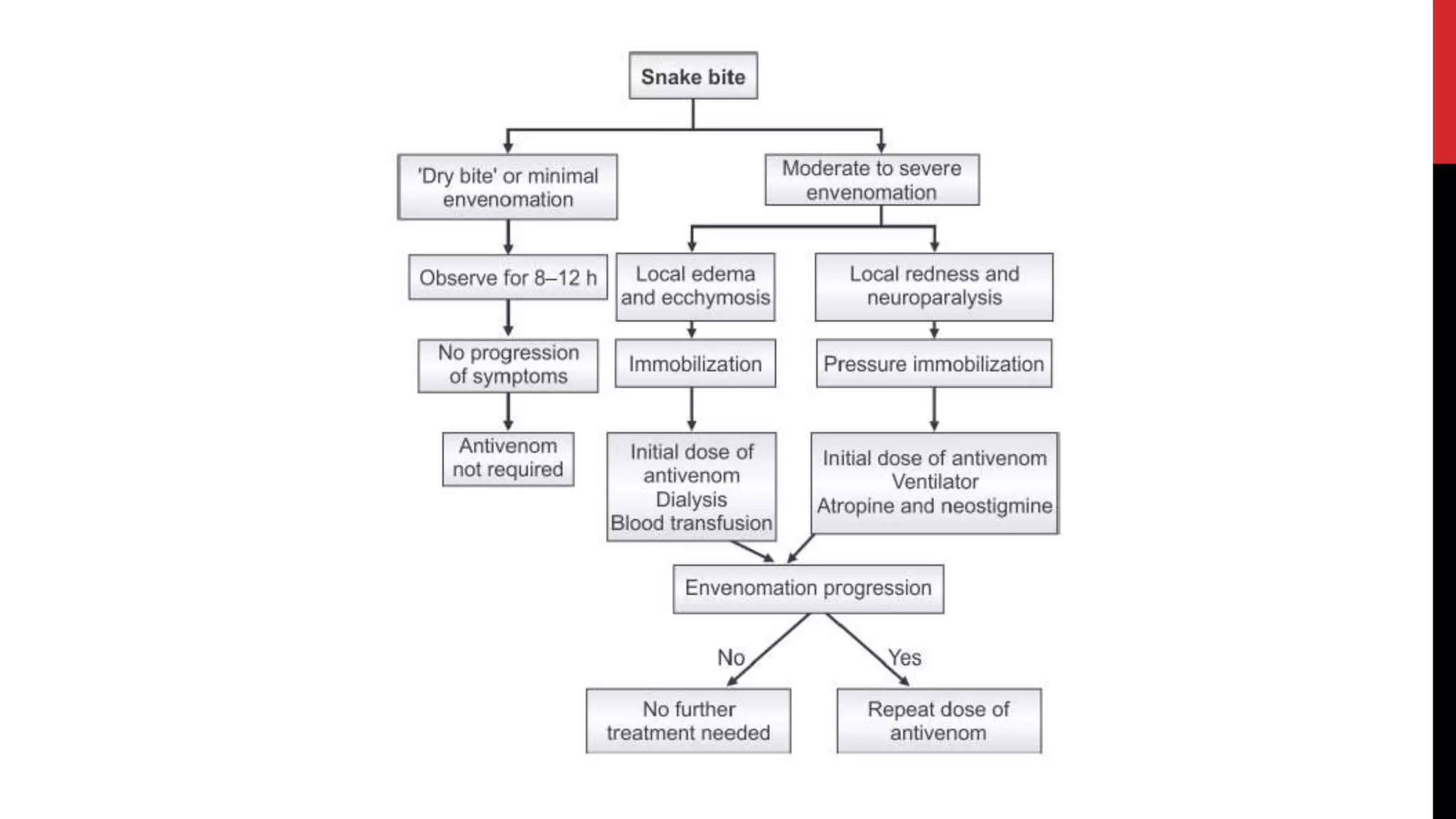 Snake & Snake bites | PPTX
