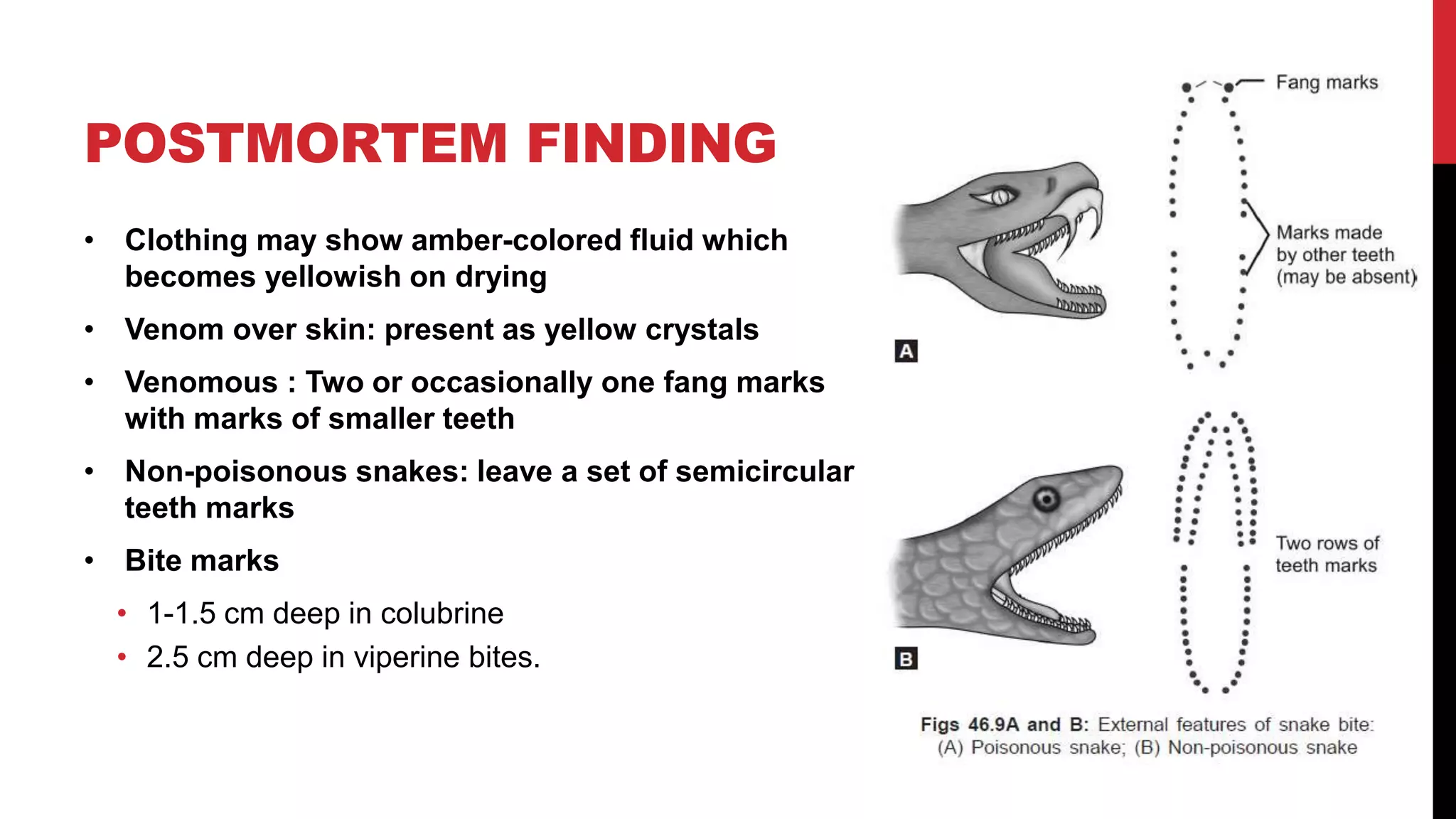 Snake & Snake bites | PPTX