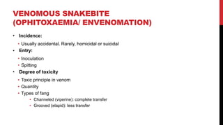 Snake & Snake bites | PPTX