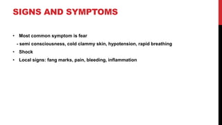 Snake & Snake bites | PPTX | First Aid | Injuries