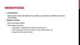 Snake & Snake bites | PPTX