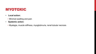 Snake & Snake bites | PPTX