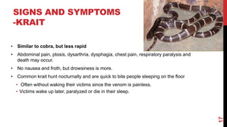 Snake & Snake bites | PPTX