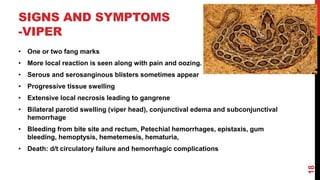 Snake & Snake bites | PPTX
