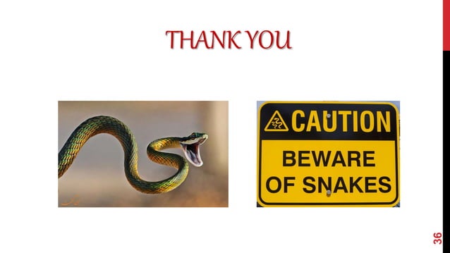 Snake & Snake bites | PPTX | First Aid | Injuries