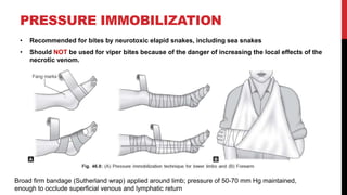 Snake & Snake bites | PPT