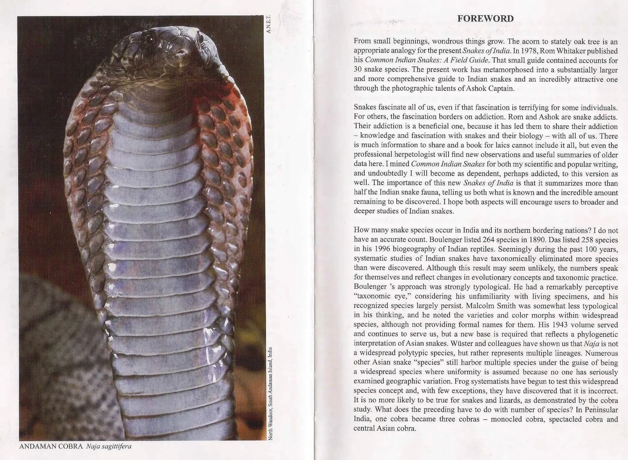 Snakes of India - a comprehensive description | PPT