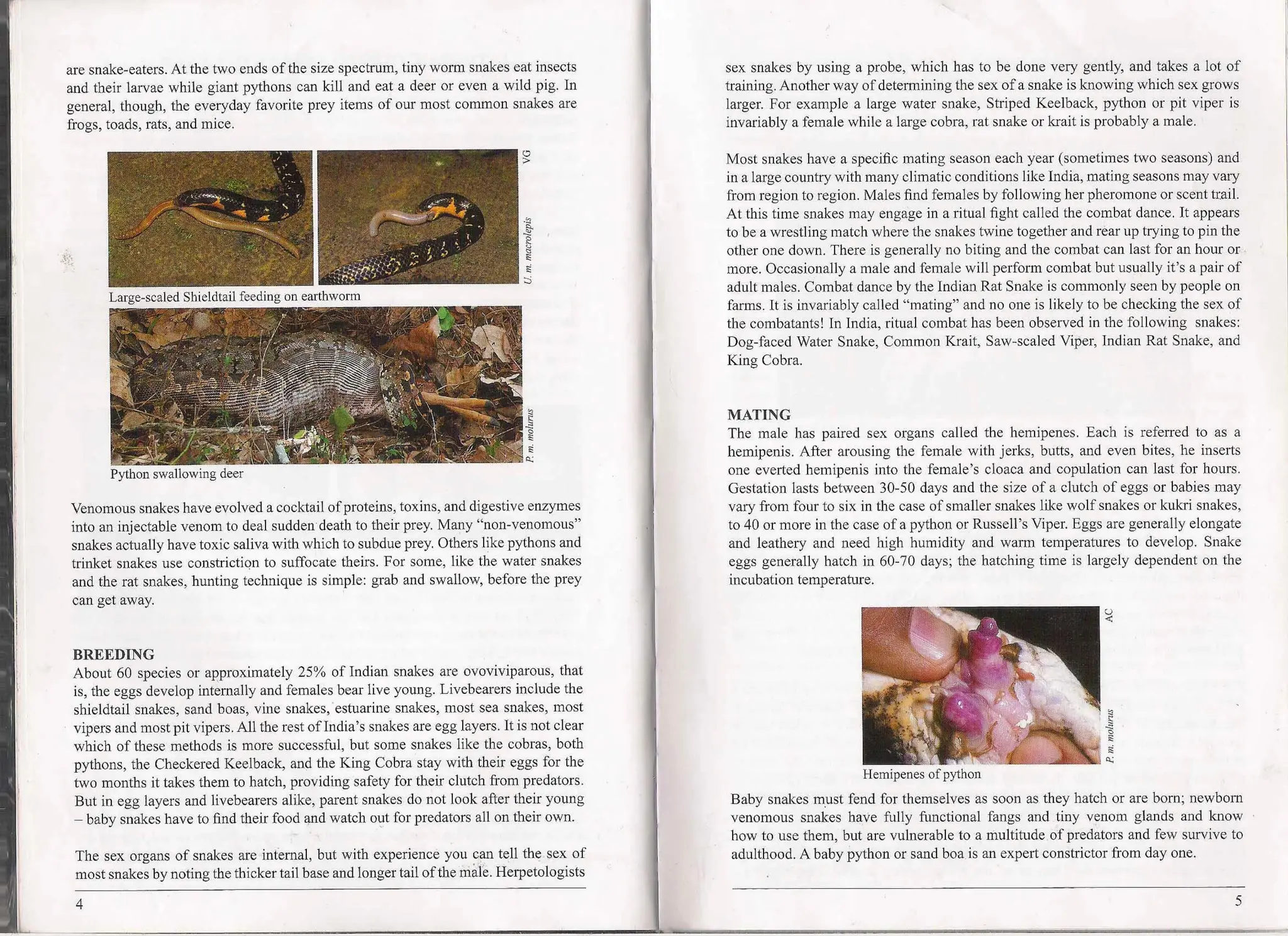 Snakes of India - a comprehensive description | PDF