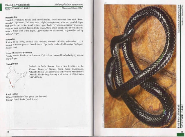 Snakes of India - a comprehensive description | PPT