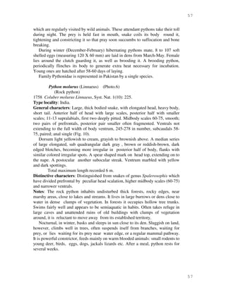Snakes of pakistan chimera 2000 | PDF