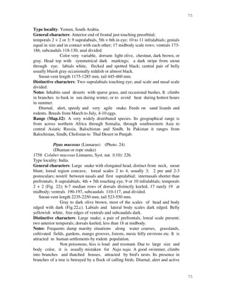 Snakes of pakistan chimera 2000 | PDF