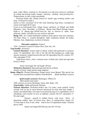 Snakes of pakistan chimera 2000 | PDF