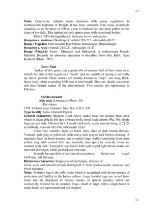 Snakes of pakistan chimera 2000 | PDF
