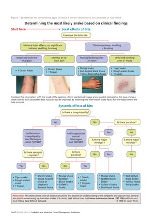 Snake Spider Guidelines Gl2007 006 3 | PDF