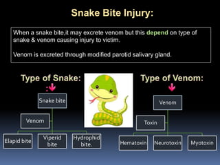 Snake- sudeep | PPT