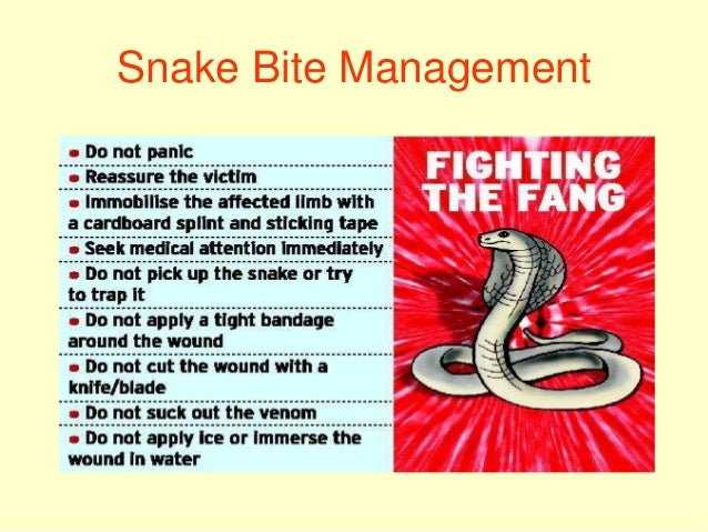 Snake Bite,Rabies,Scorpion Bite PPT – Presented By Prof.Dr.R.R.deshpa…