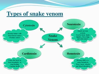 Anticancer potential of snake enom | PDF