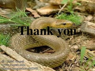 Anticancer potential of snake enom | PPT