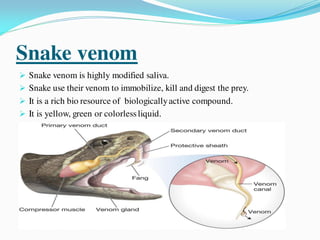 Anticancer potential of snake enom | PDF