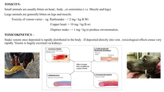 Venomous & Non venomous snake Envenomenation | PPTX