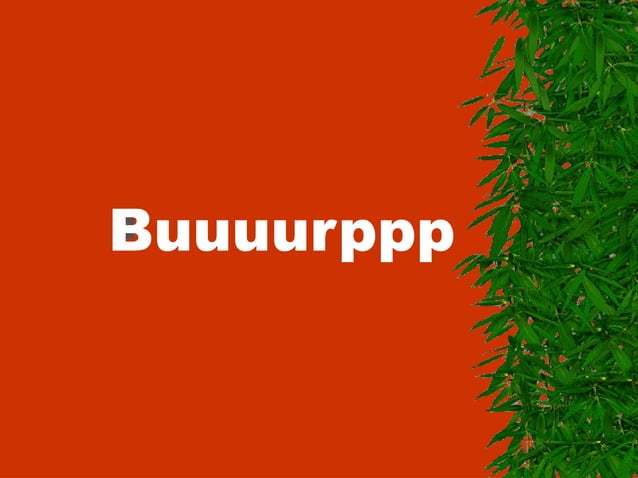 Snake Vs Kangaroo | PPS | Reptiles | Pets