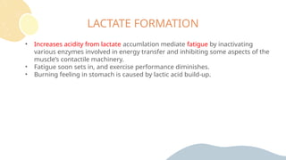 Carbohydrate metabolism in exercise- Glycolysis.pptx | Free Download