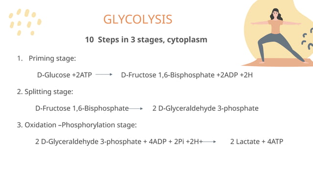 Carbohydrate metabolism in exercise- Glycolysis.pptx