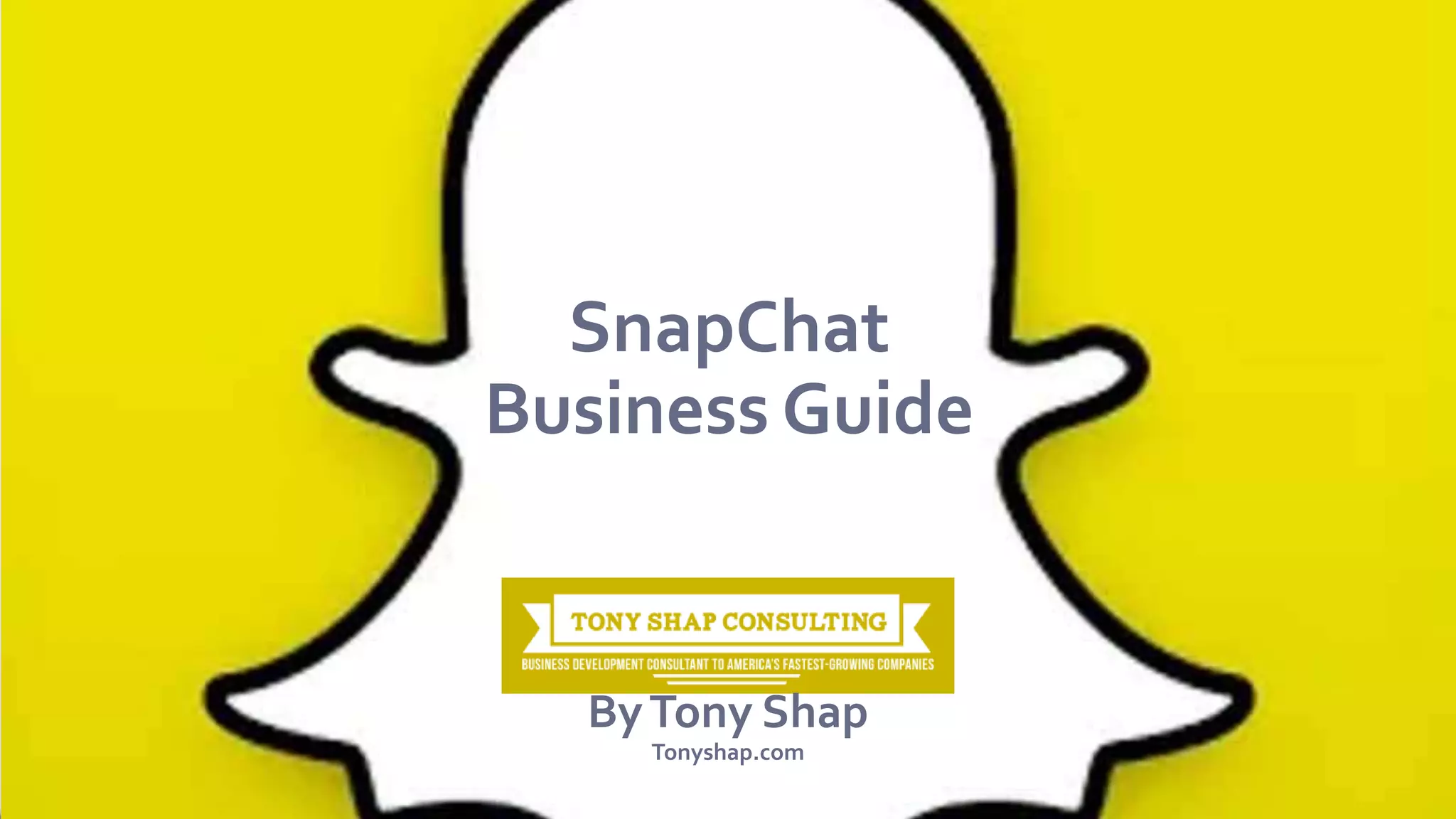 SnapChat Business Guide | PPTX | Startups | Business