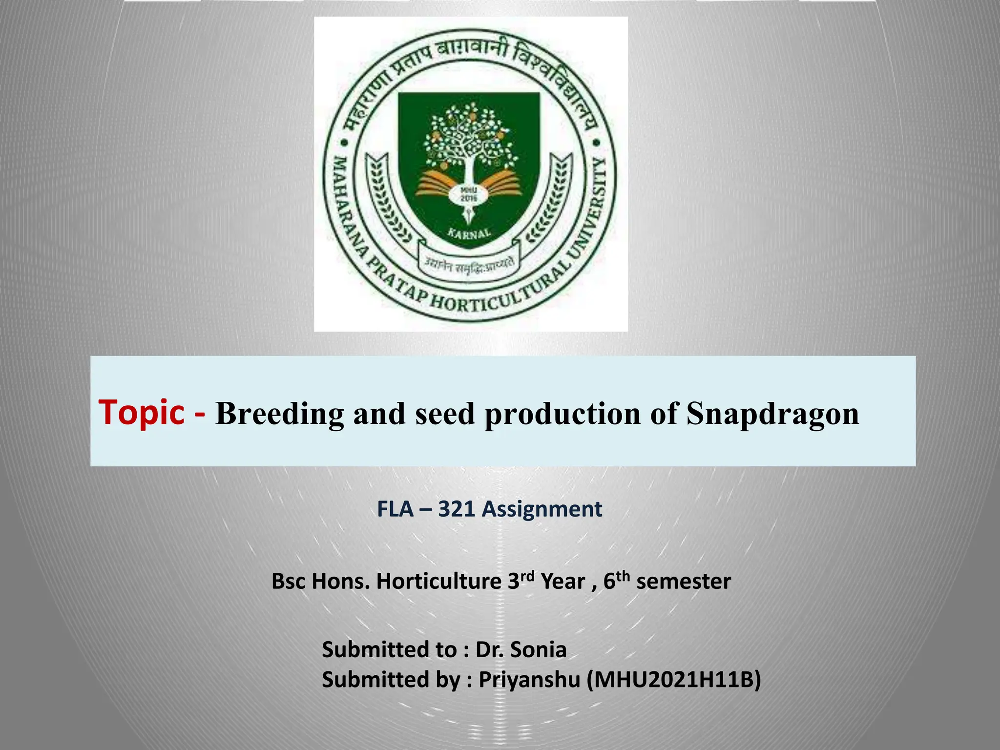Breeding and Seed Production of Snapdragon ppt | PPTX