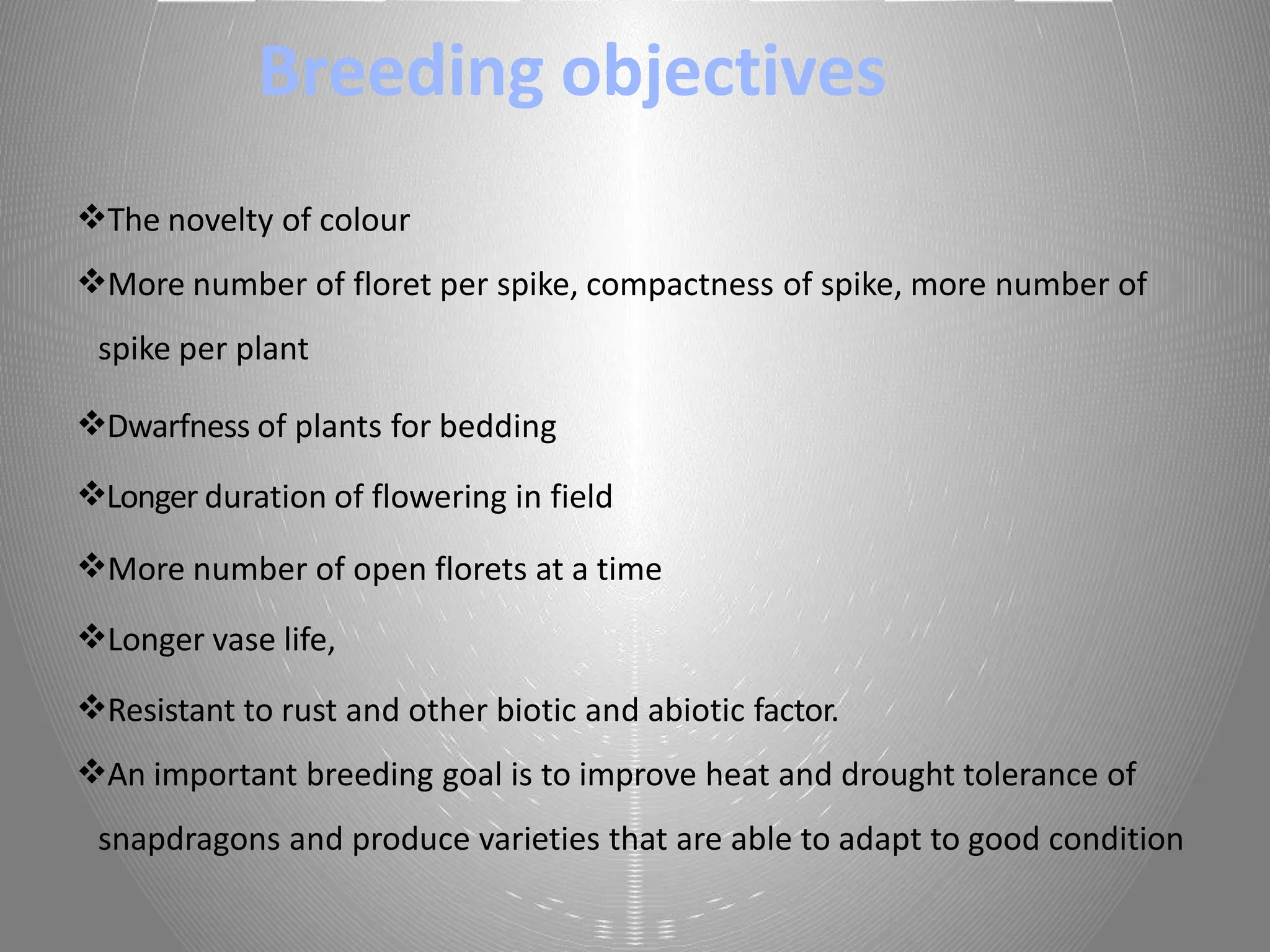 Breeding and Seed Production of Snapdragon ppt | PPTX