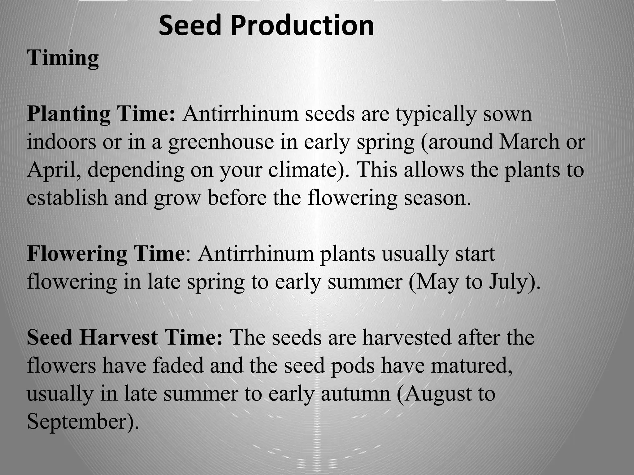 Breeding and Seed Production of Snapdragon ppt | PPTX
