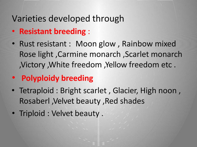 Breeding and Seed Production of Snapdragon ppt | PPTX | Gardening ...