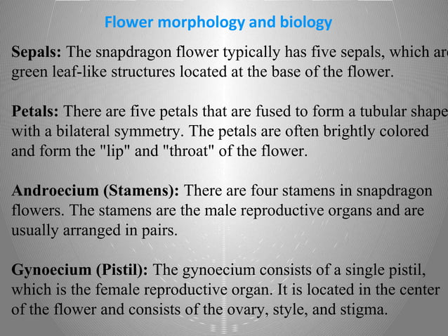 Breeding and Seed Production of Snapdragon ppt | PPTX | Gardening ...