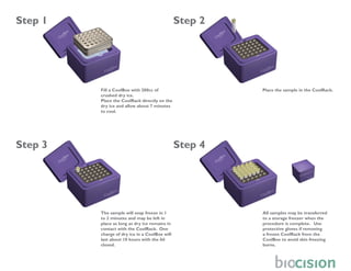 Snap Freezing Procedure(2) | PDF