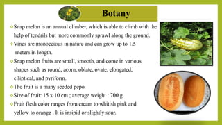 Snapmelon by A.Keerthi underutilized cucurbit.pdf