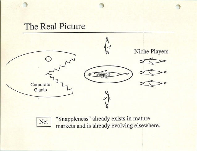 Snapple Presentation to the AMA from 1993 | PDF