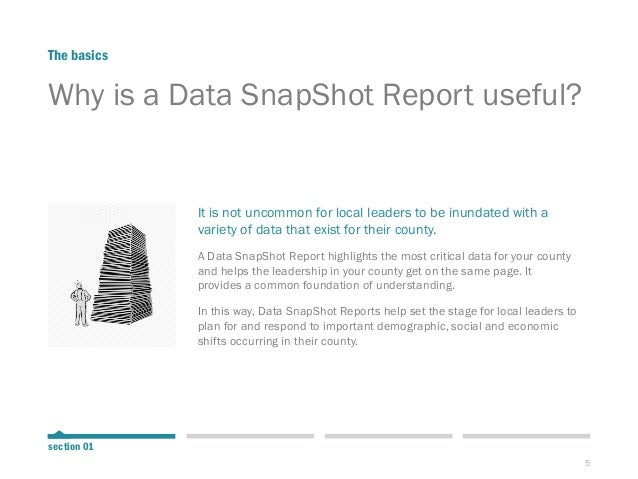 Data SnapShot Report Booklet