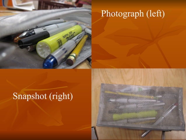 Snapshot vs photograph | PPT