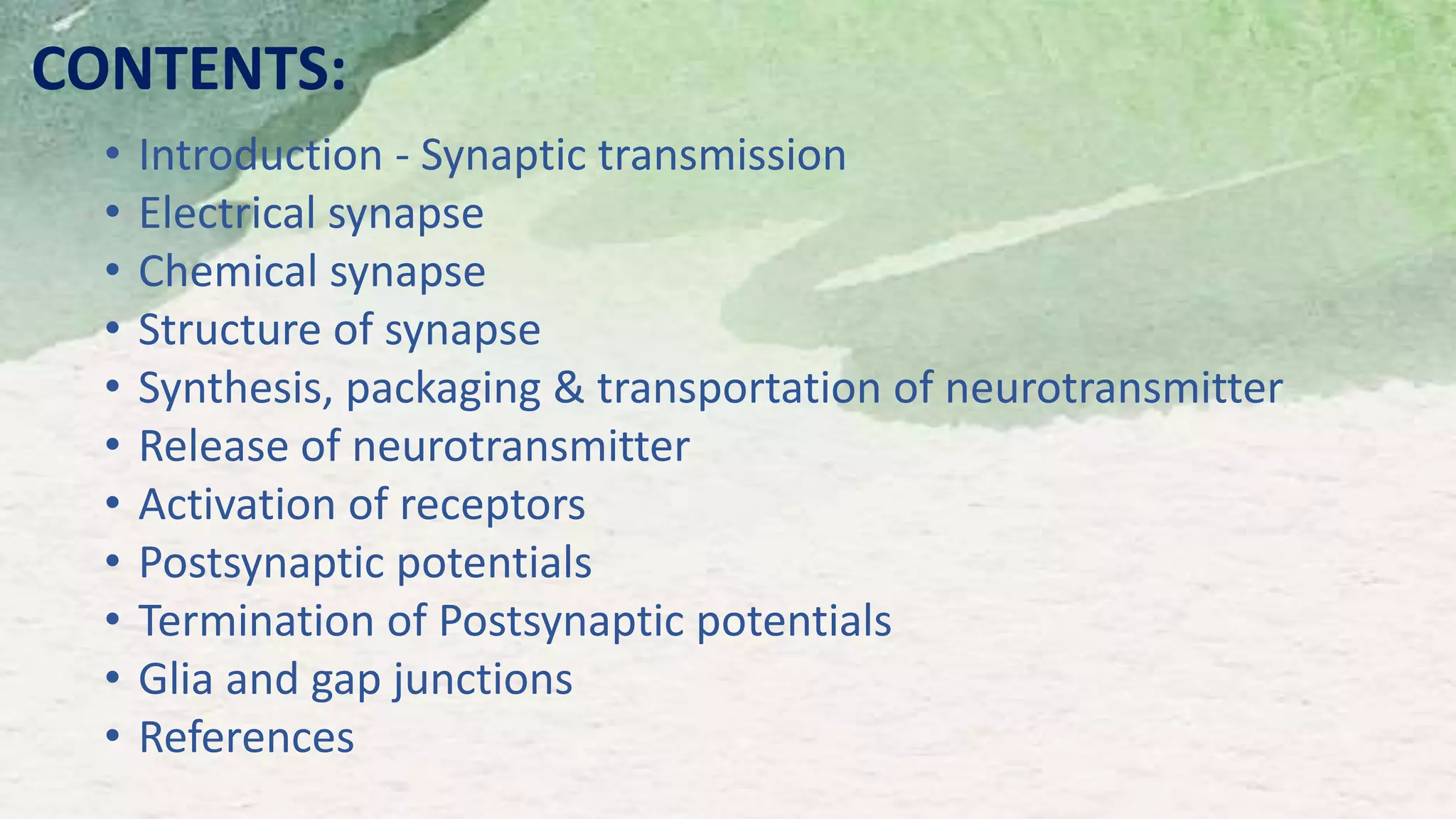 snaptic transmission.pptx