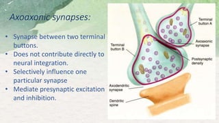 snaptic transmission.pptx