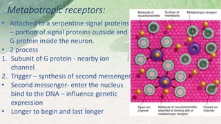 snaptic transmission.pptx