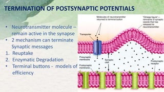 snaptic transmission.pptx