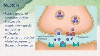 snaptic transmission.pptx