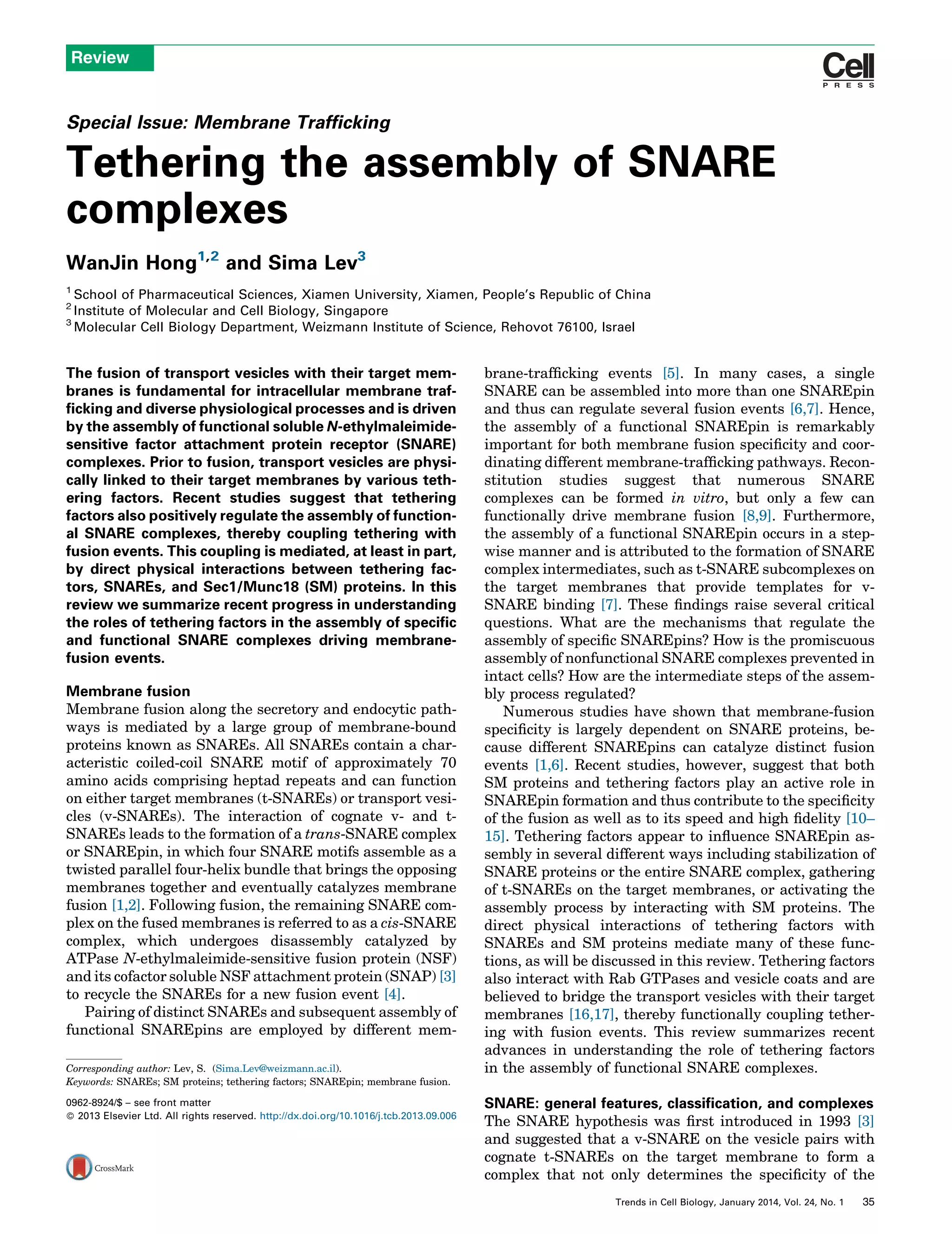 Tethering the assembly of SNARE complexes by Sima Lev and WonJin Hong | PDF