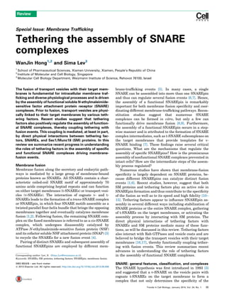Tethering the assembly of SNARE complexes by Sima Lev and WonJin Hong | PDF