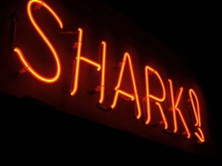 Snark Attack - Snarks and Trolls | PPT