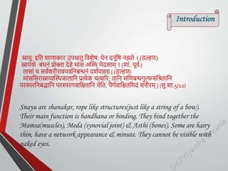Snayu Sharira.pptx